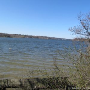 Abraham Lincoln Park: Hiking along Irondequoit Bay – Anne's Travels