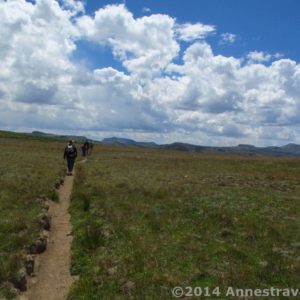 Chasm View Trail – Short Trail, Wonderful Views! – Anne's Travels