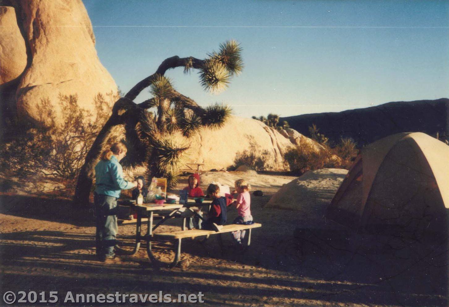 Eating Breakfast in Joshua Tree – Anne's Travels