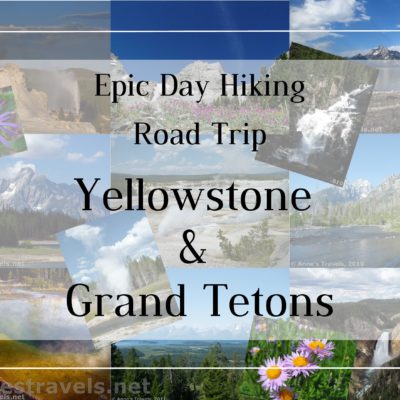 Views of Lower Yellowstone Falls: Red Rock Point – Anne's Travels