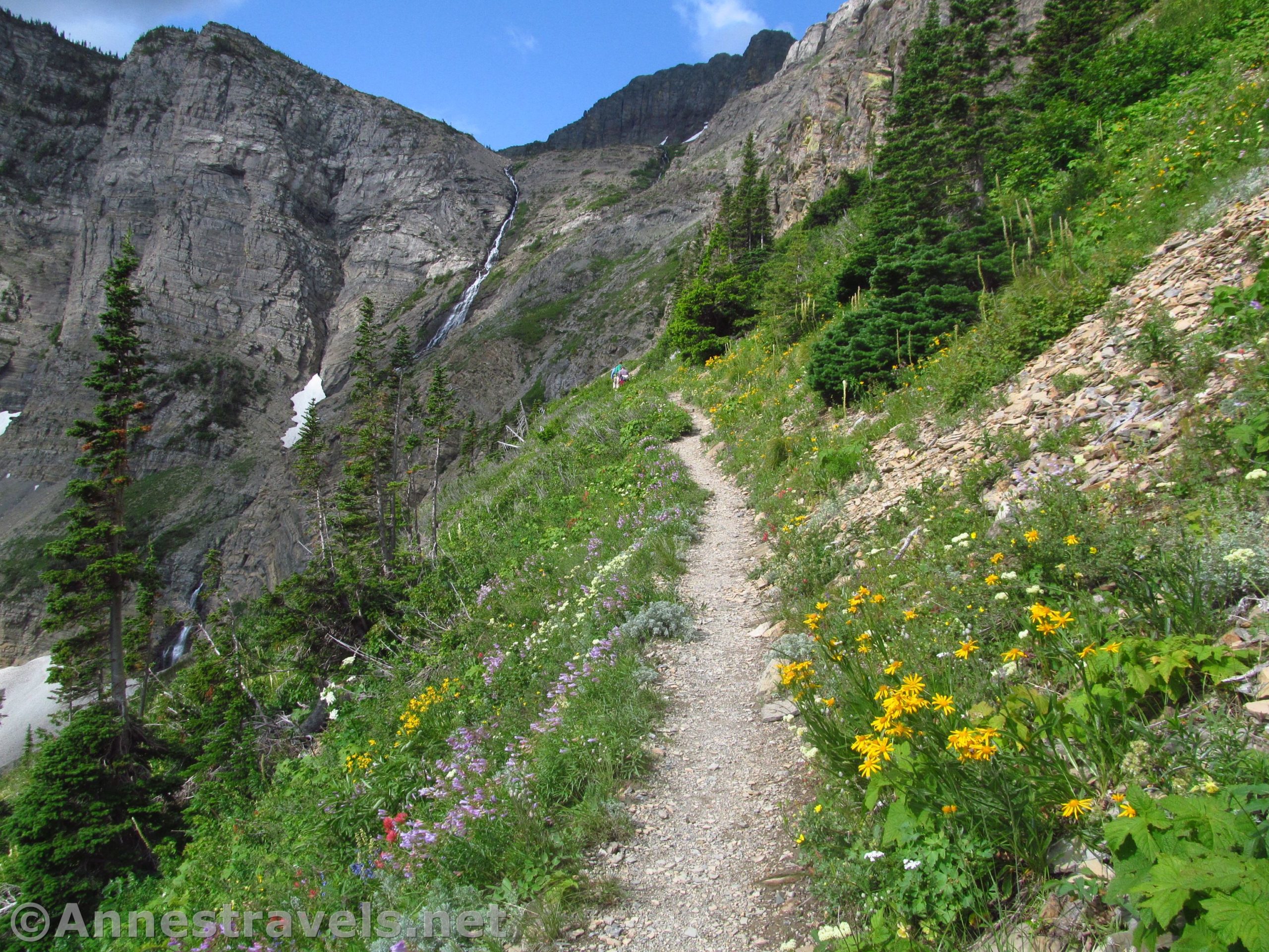 Swiftcurrent Lookout - So Long a Hike, So Worth It! - Anne's Travels